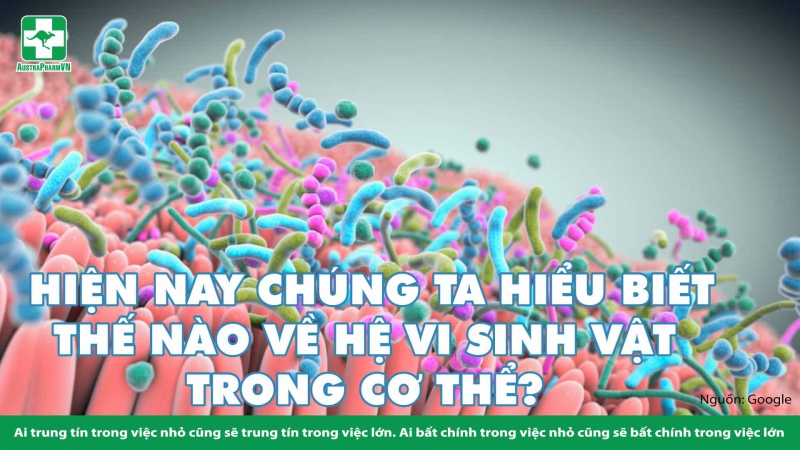 HIỆN NAY CHÚNG TA HIỂU BIẾT THẾ NÀO VỀ HỆ VI SINH VẬT TRONG CƠ THỂ?