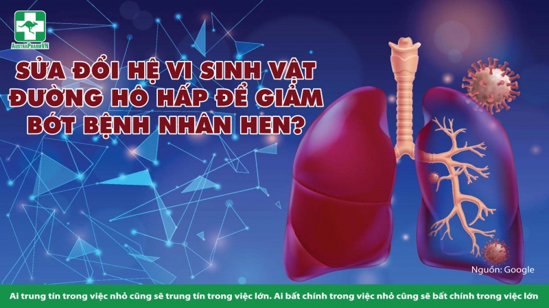 MỨC ĐỘ NGHIÊM TRỌNG CỦA HEN SUYỄN PHỤ THUỘC VÀO HỆ VI SINH HÔ HẤP
