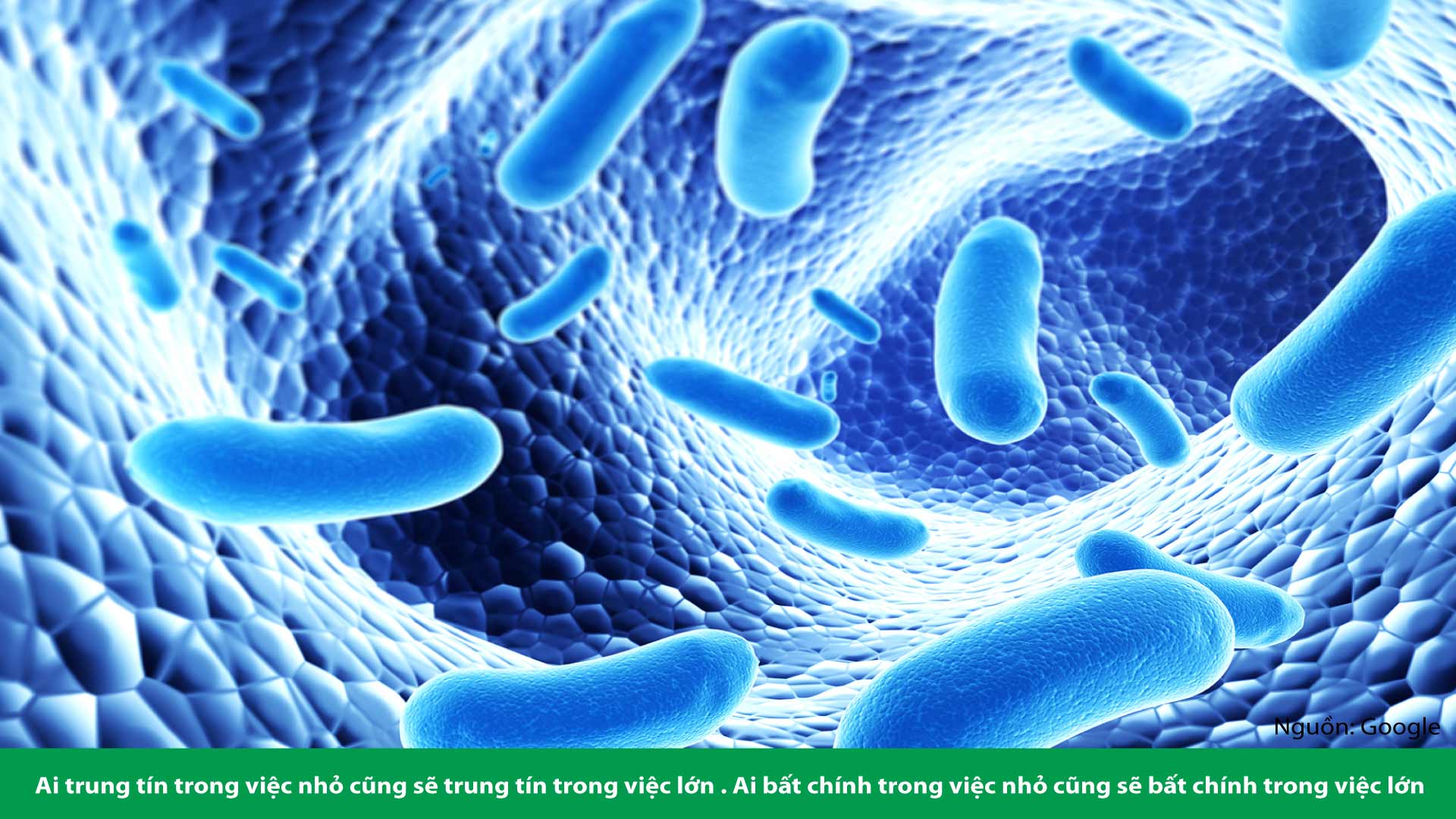 CÔNG NGHỆ BAO VI NANG BẢO VỆ CHẤT LƯỢNG MEN VI SINH PROBIOTICS