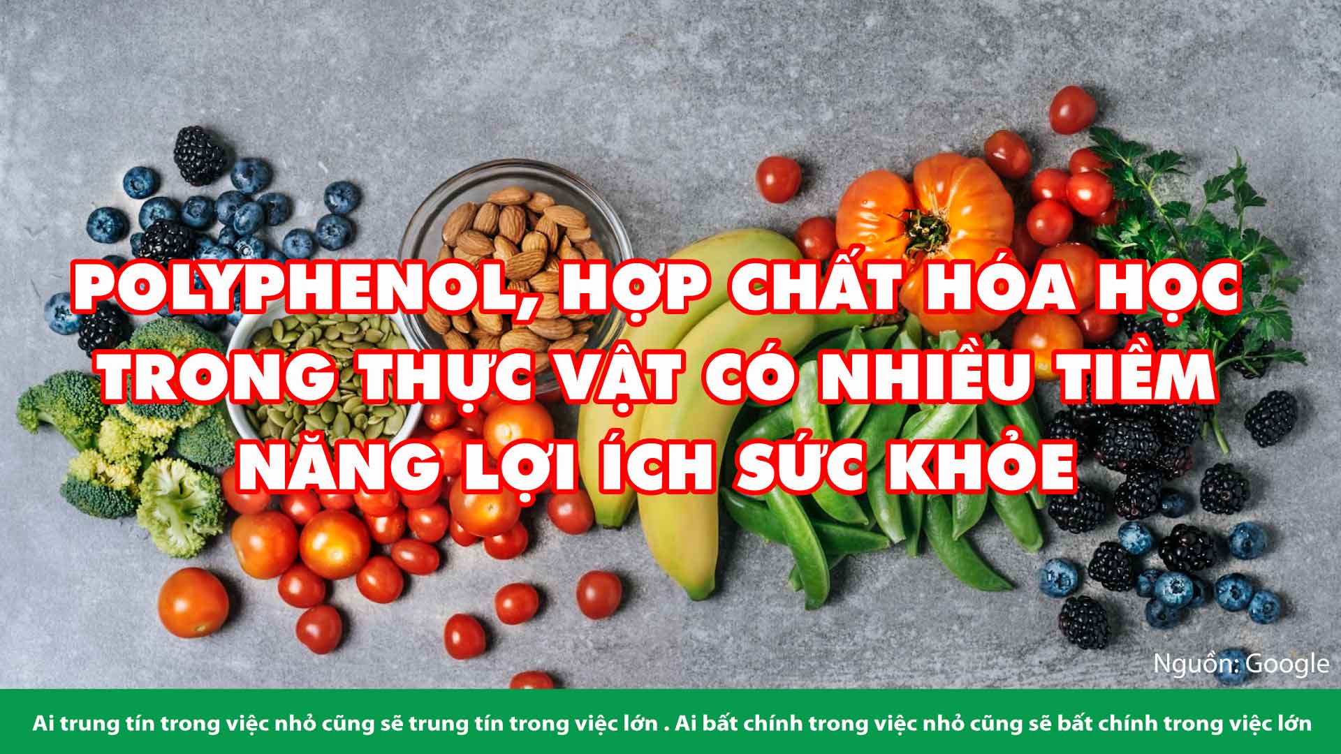 POLYPHENOL, HỢP CHẤT HÓA HỌC TRONG THỰC VẬT CÓ NHIỀU TIỀM NĂNG LỢI ÍCH ...