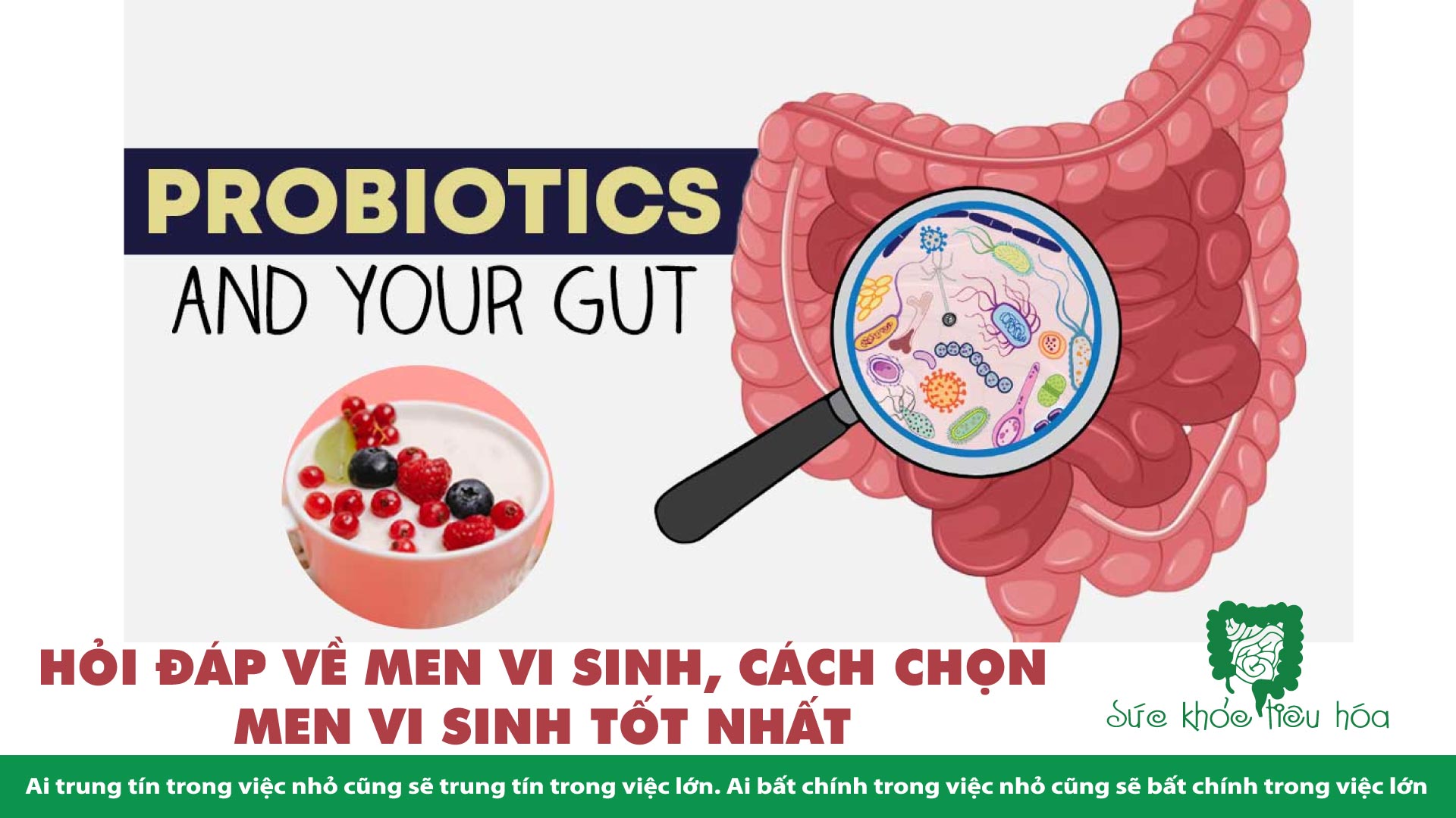 HỎI ĐÁP VỀ MEN VI SINH, CÁCH CHỌN MEN VI SINH TỐT NHẤT